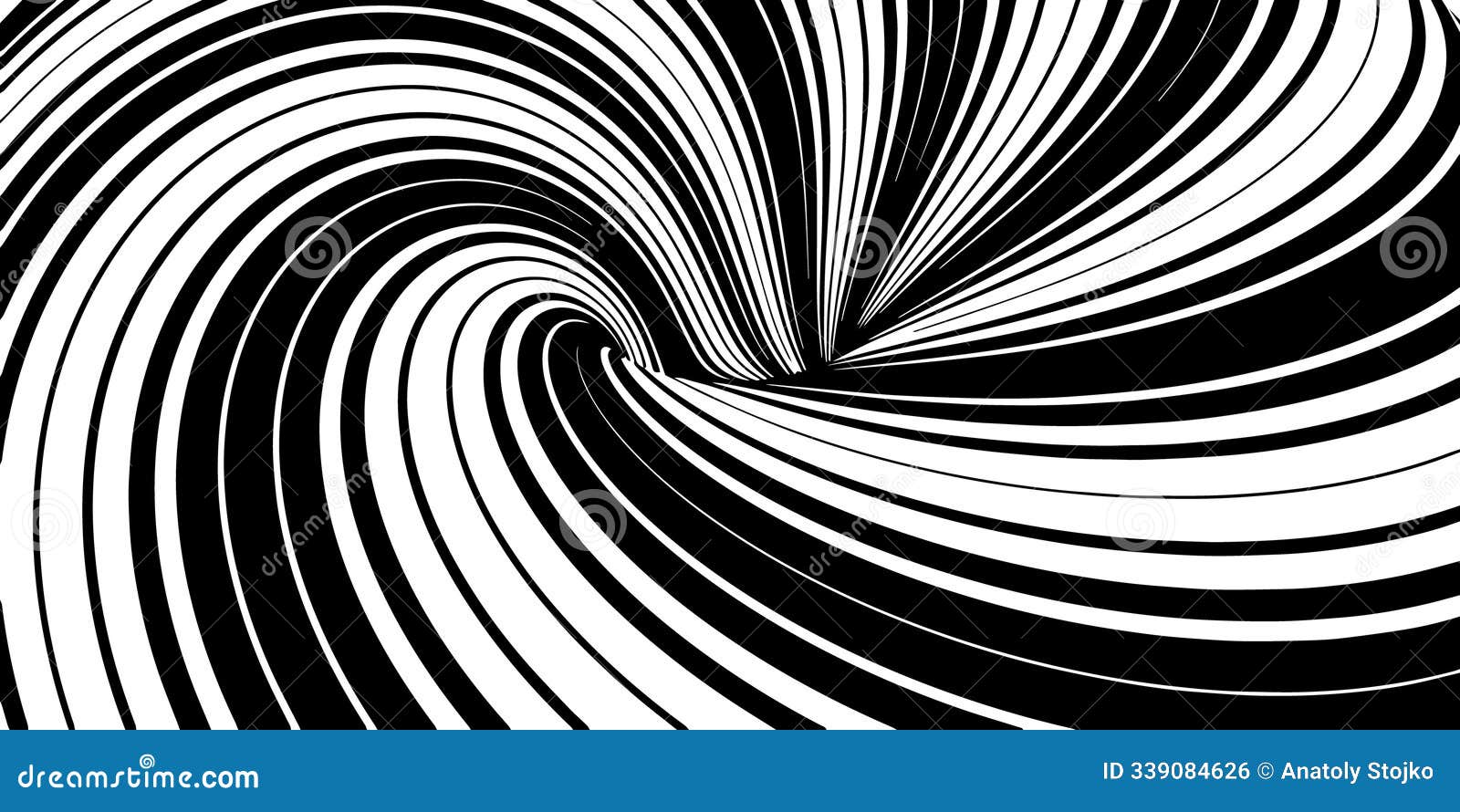 Abstract Black Lines Group on White. Optical Texture Effect on Torus ...