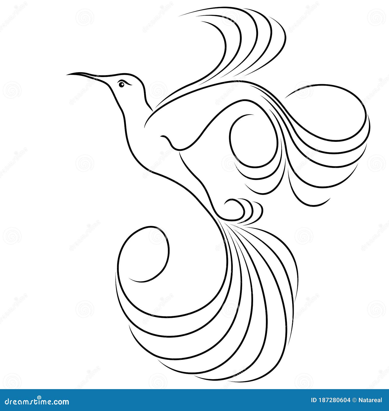 Abstract Black Outline Of Flying Hummingbird Vector Illustration ...