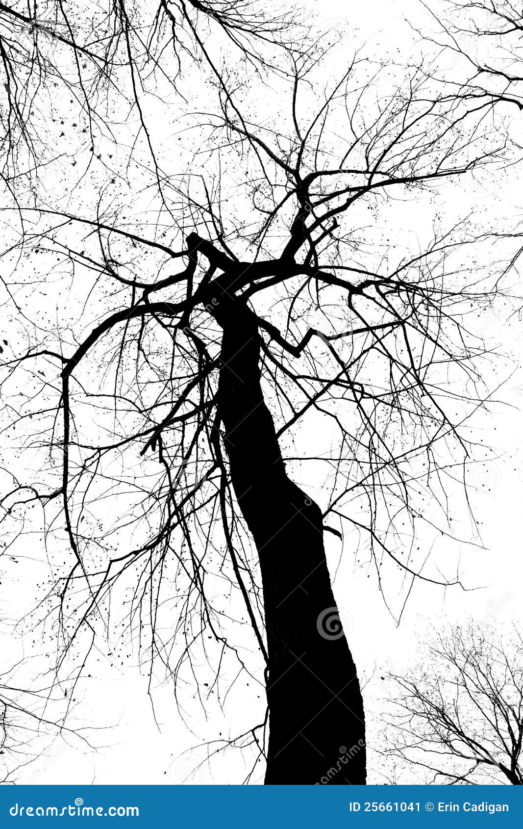 Abstract Black and White Creepy Tree Stock Image - Image of modern ...