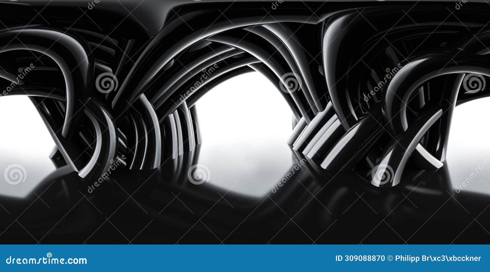 Abstract Black and White Curved Structures in a Reflective Symmetrical ...