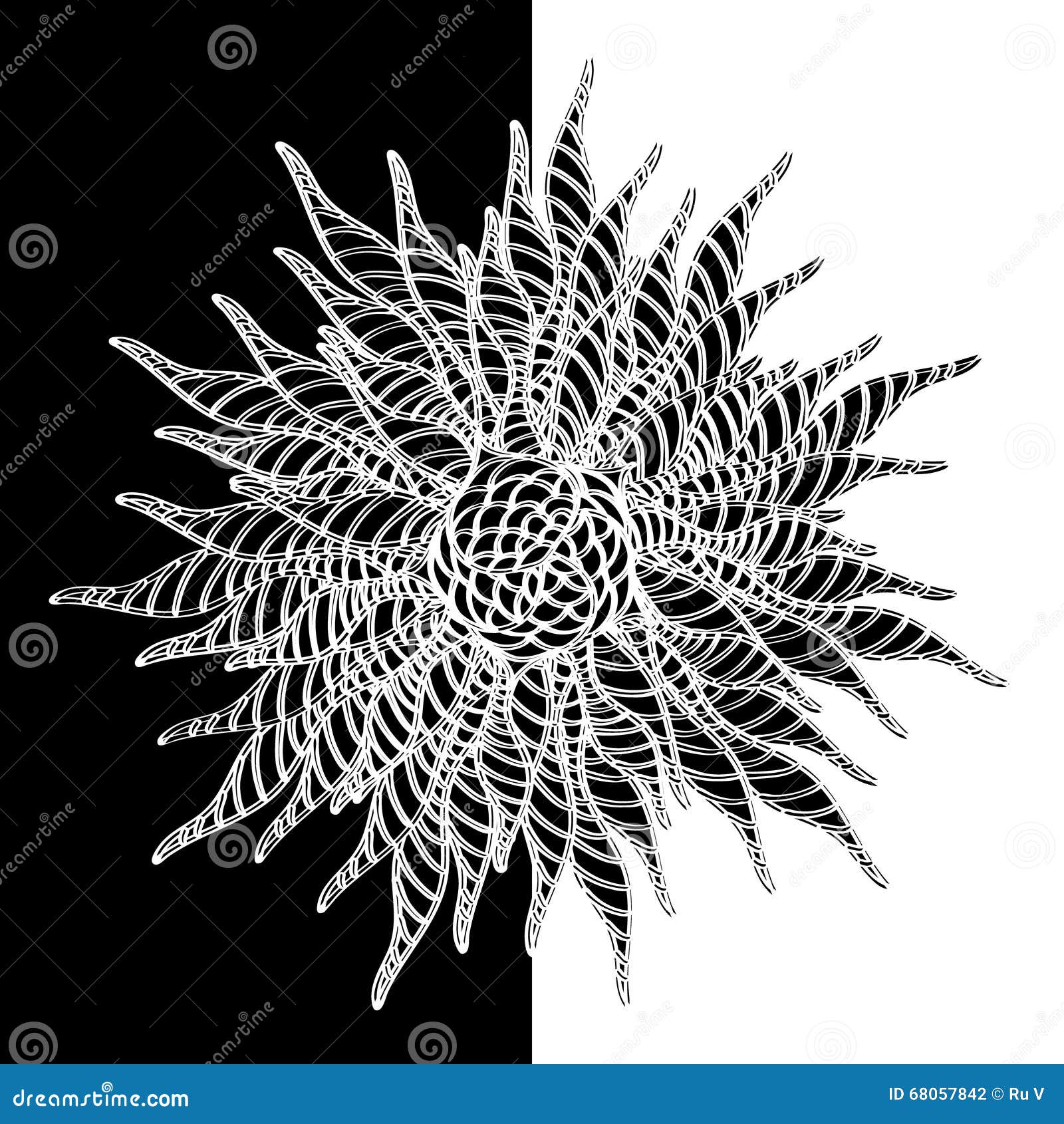 Abstract Black-white Design Element, Vector Illustration Stock Vector ...
