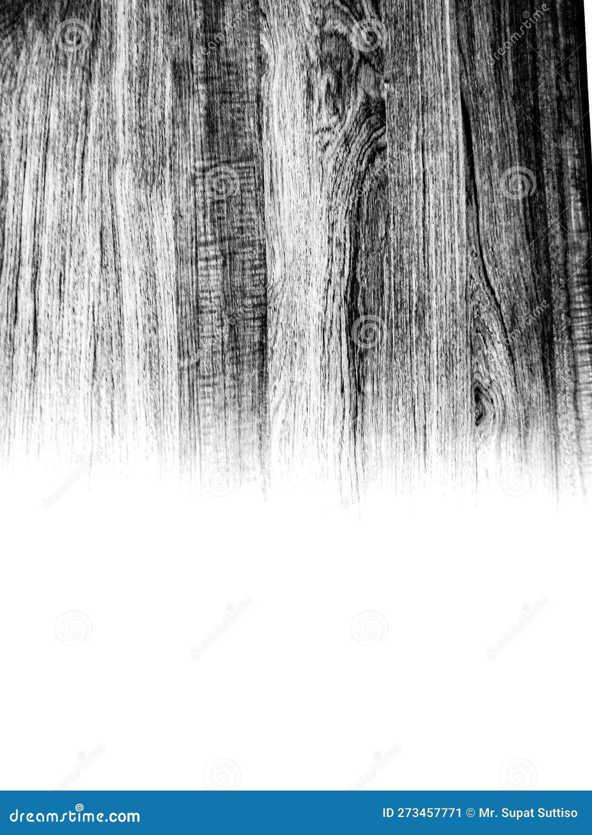 Abstract Black and White Gradient Wood Grain Stock Image - Image of ...