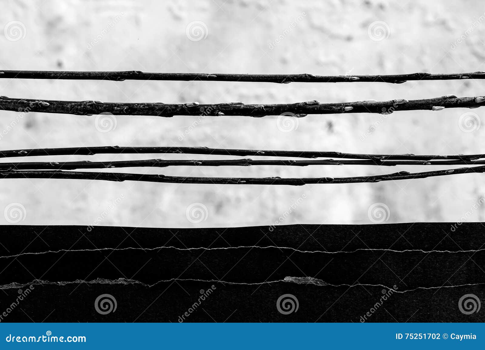 Abstract Black and White Horizontal Lines. Stock Photo - Image of ...