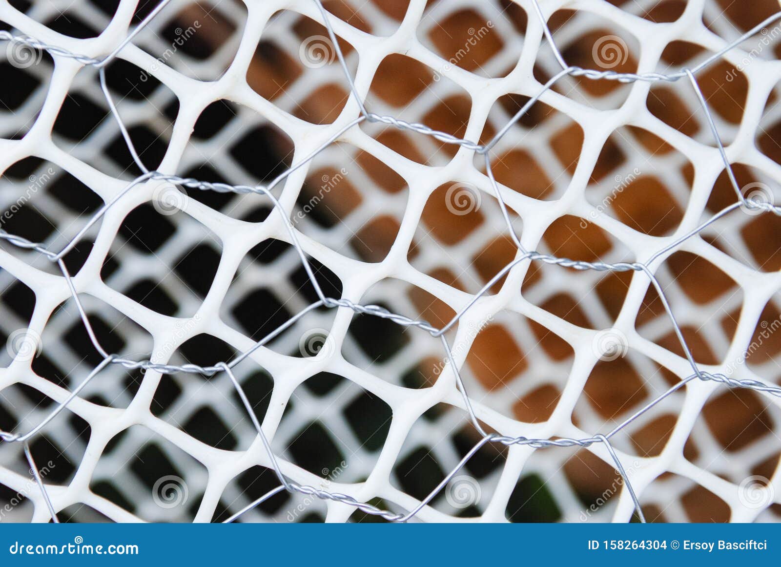 Reticular Cell Is A Type Of Fibroblast. They Are Found In Many Tissues ...