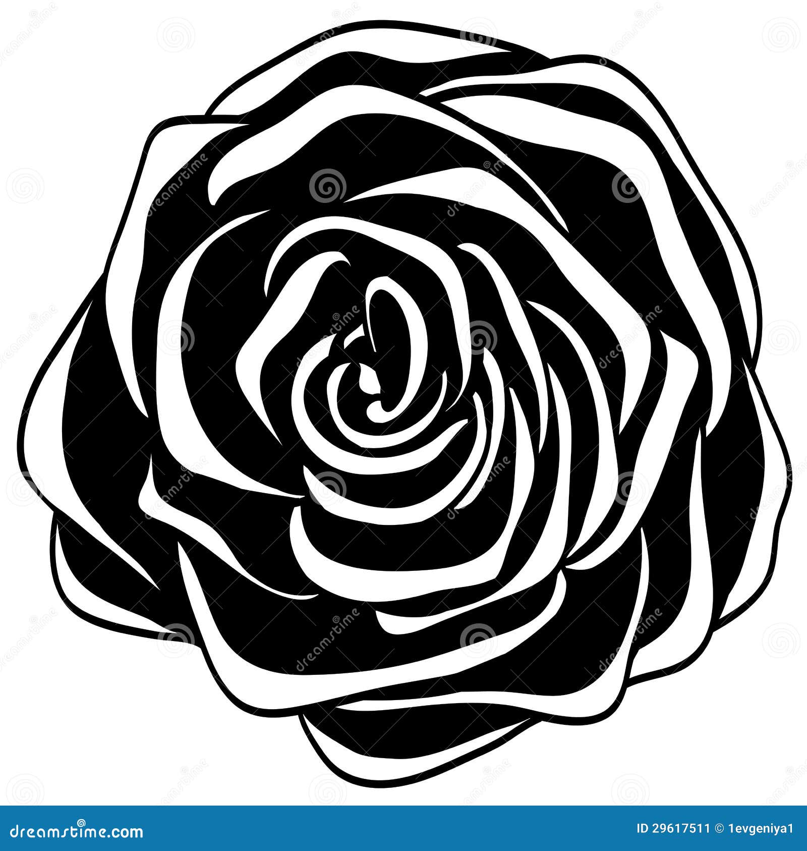 Abstract Black and White Rose. Stock Vector - Illustration of element ...