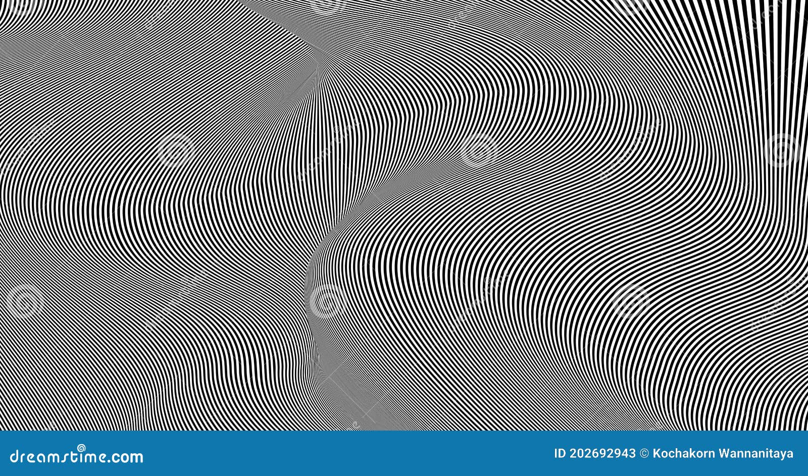 Abstract Black and White Style of Line Pattern Template Artwork ...