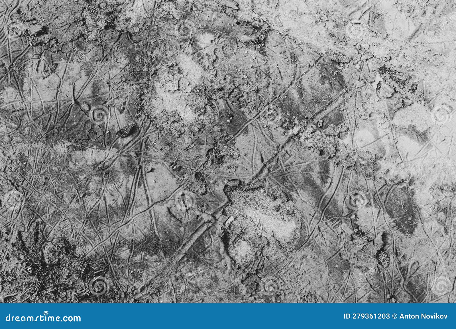 Abstract Black and White Texture with Imprints on the Ground Stock ...
