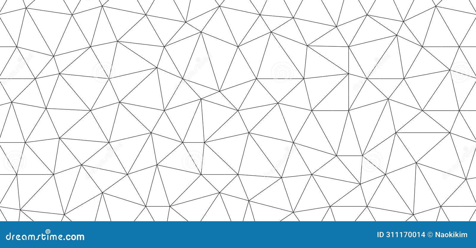 Abstract Black White Triangle, Geometric Line Background, Polygon ...