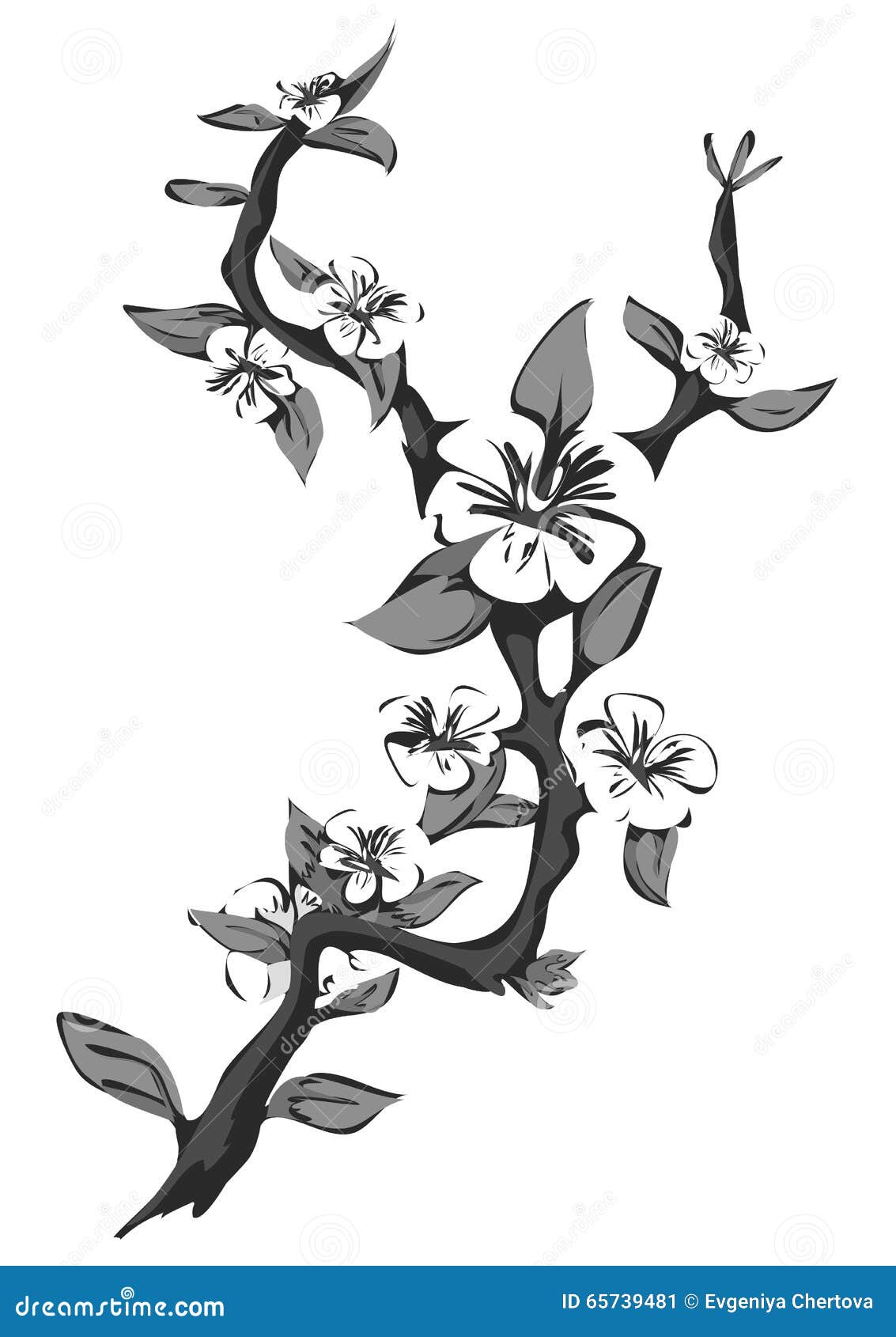 Abstract Blossoming Apple Tree. Graphic Branch of Apple in Black and ...