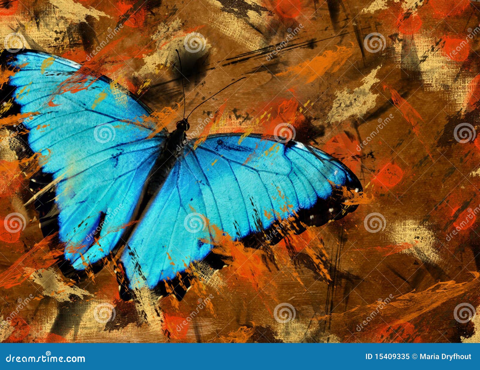 Blue Morpho Illustration, Drawing, Engraving, Ink, Line Art, Vector ...
