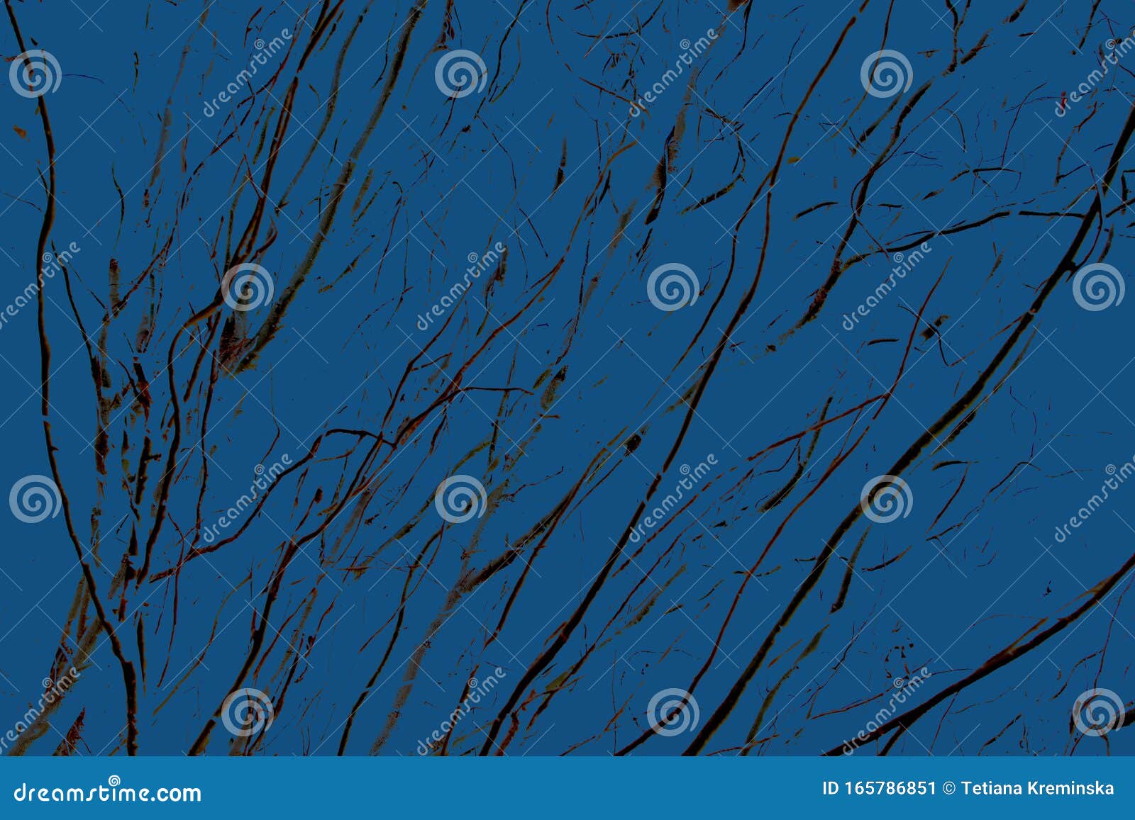 Abstract Blue Background. Tree Branches on a Classic Blue Background ...