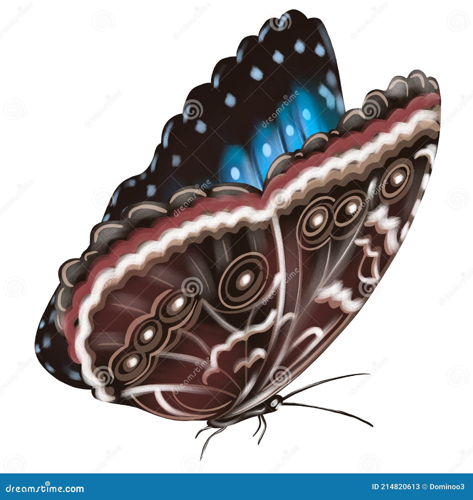 Abstract Blue Butterfly for Decorative Design. Bright Illustration ...