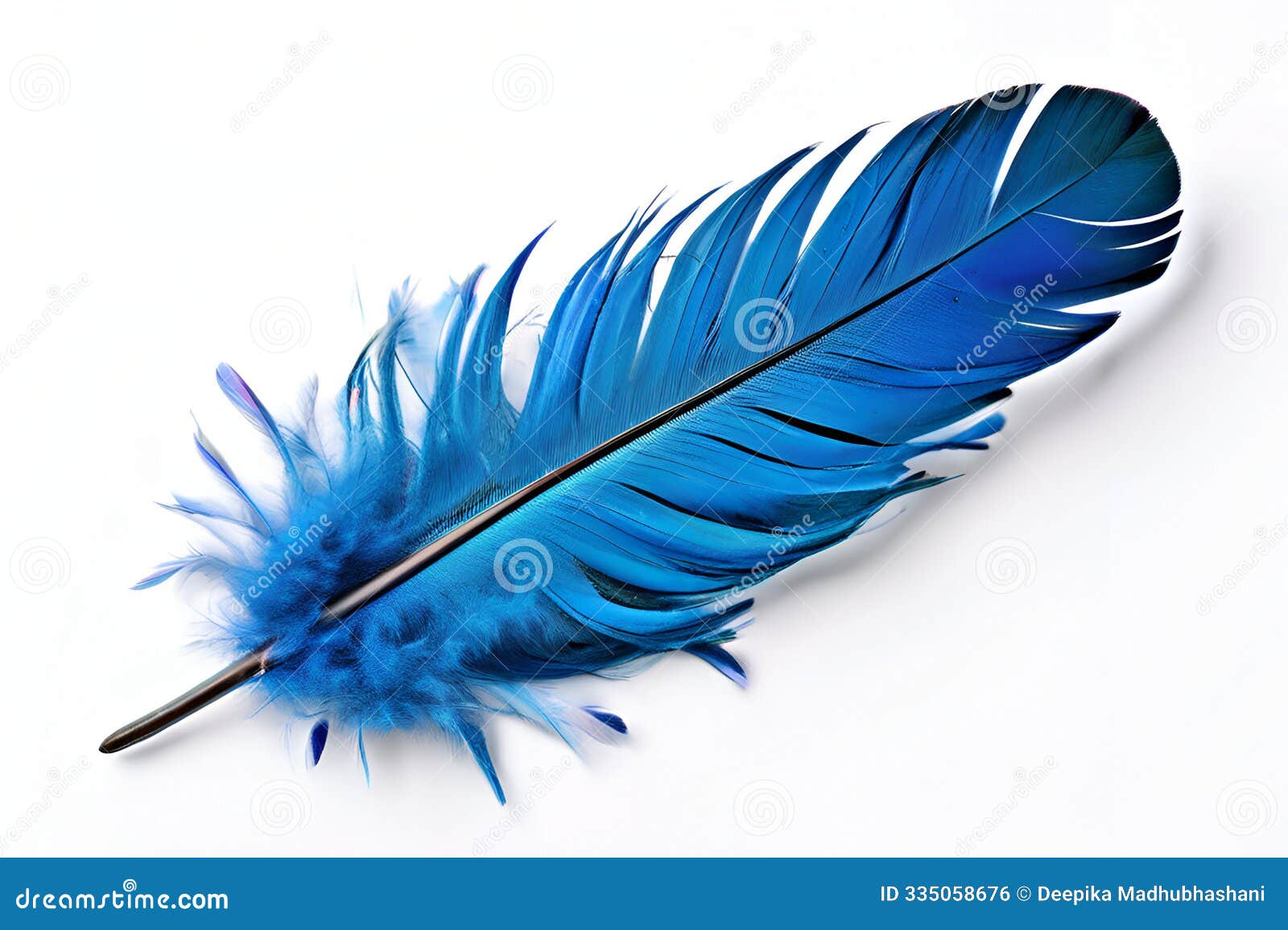 Abstract Blue Colour Single Feather on White Background, Copy Space for ...