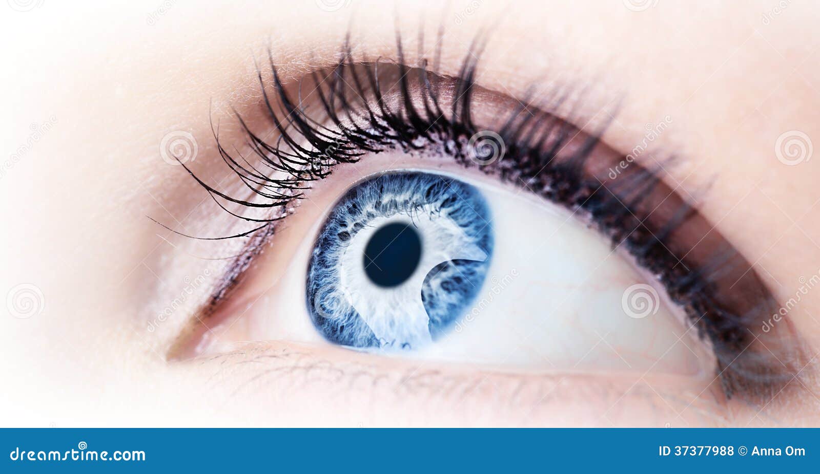 Abstract blue eye stock photo. Image of eyes, cosmetic - 37377988