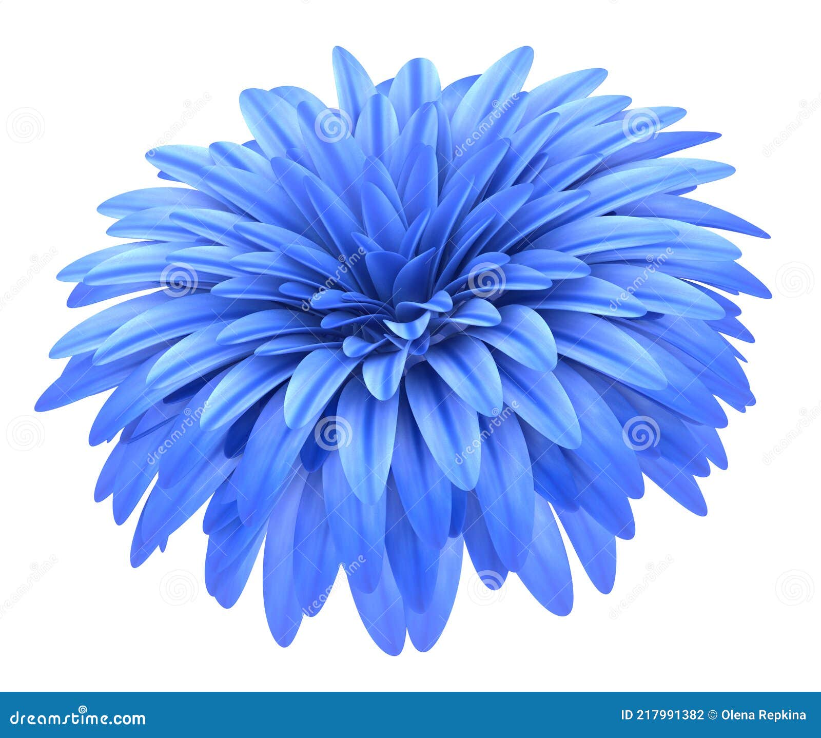 Abstract Blue Flower Isolated on a White Background 3d Rendering Stock ...