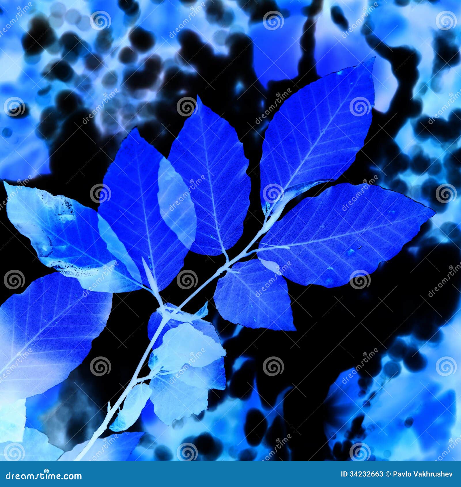 Abstract blue leaves stock image. Image of background - 34232663