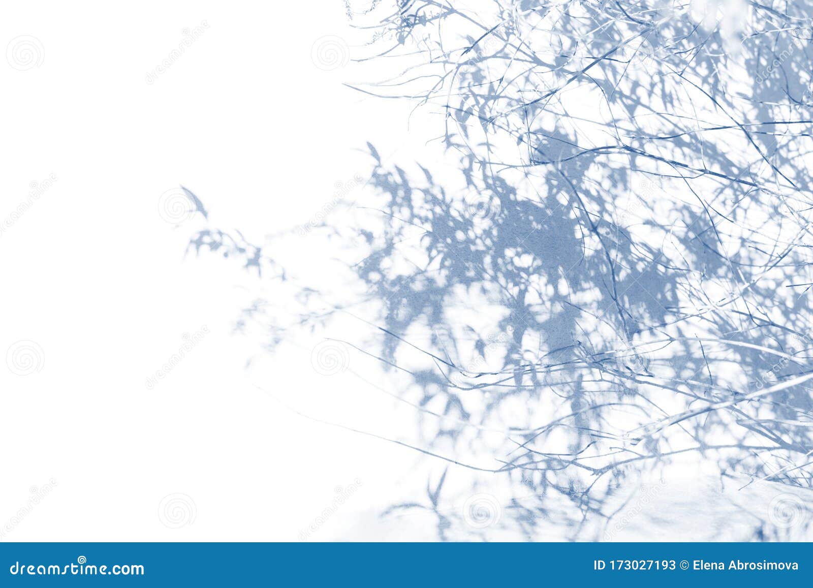 Abstract Blue Shadow on White Wall Stock Image - Image of lunch, waiter ...