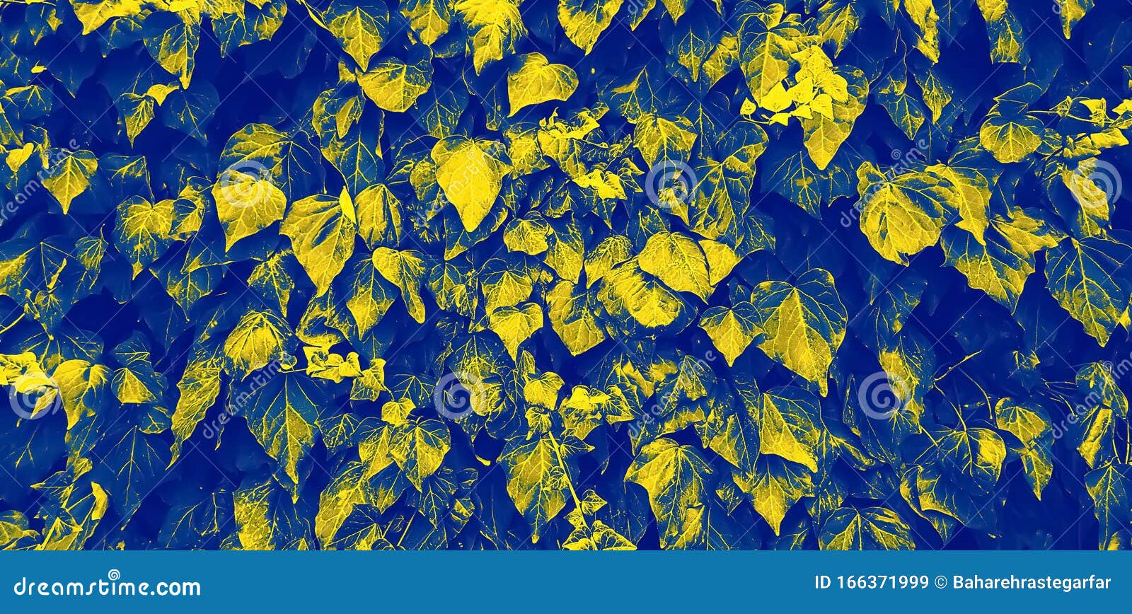Abstract Blue and Yellow Leaves Background Stock Image - Image of blue ...