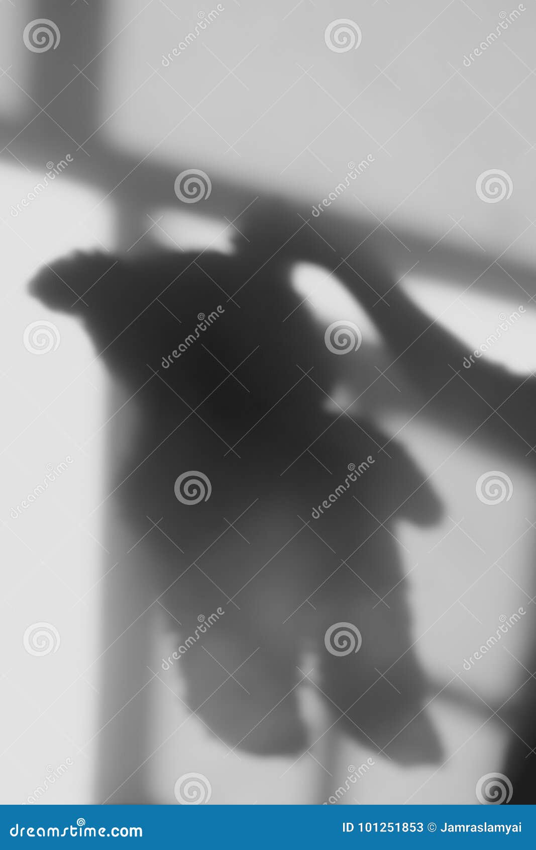 Abstract Blur Background of Shadow Bear on White Wall Stock Image ...
