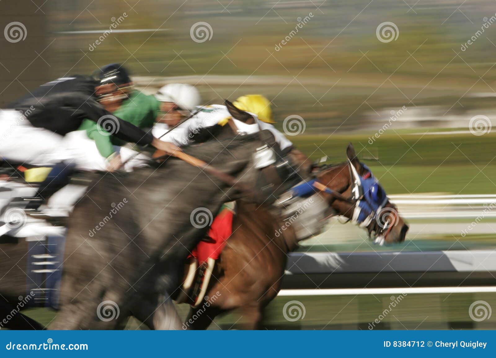Abstract Blur Horse Race stock photo. Image of breeders - 8384712