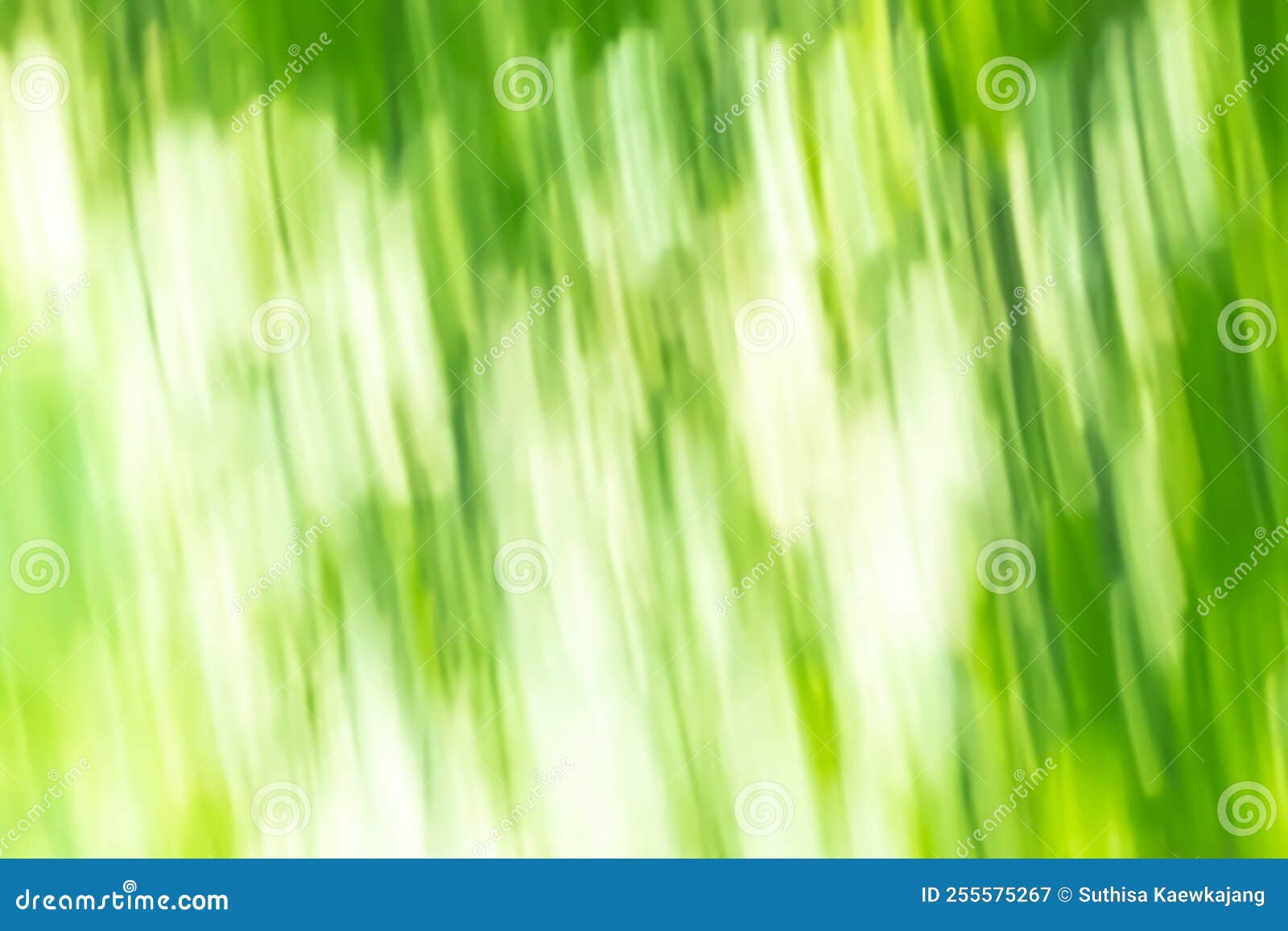 Abstract Blur Light Gradient Green and White Soft Pastel Color ...