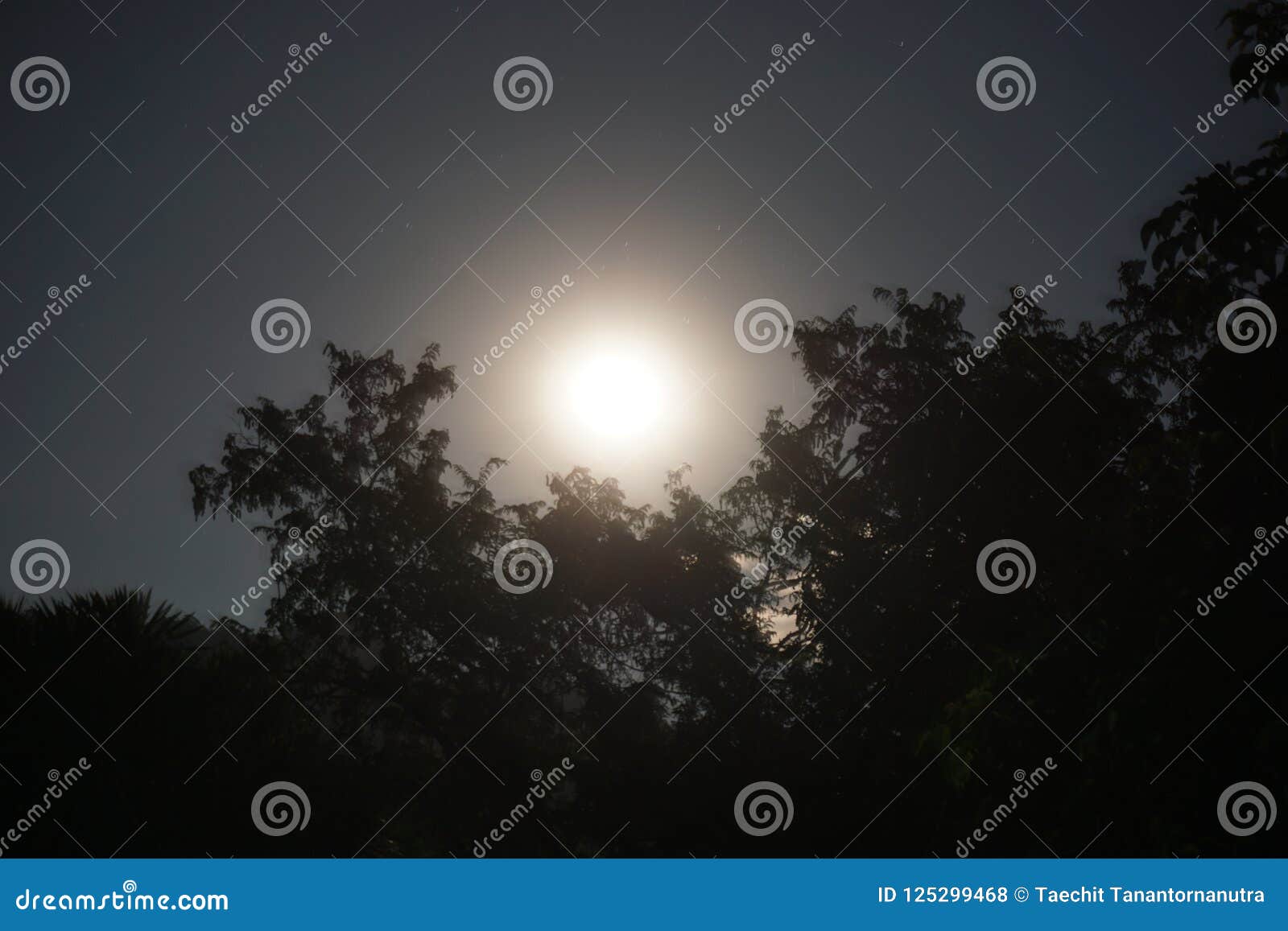 Blur of moon at night stock photo. Image of tranquil - 125299468