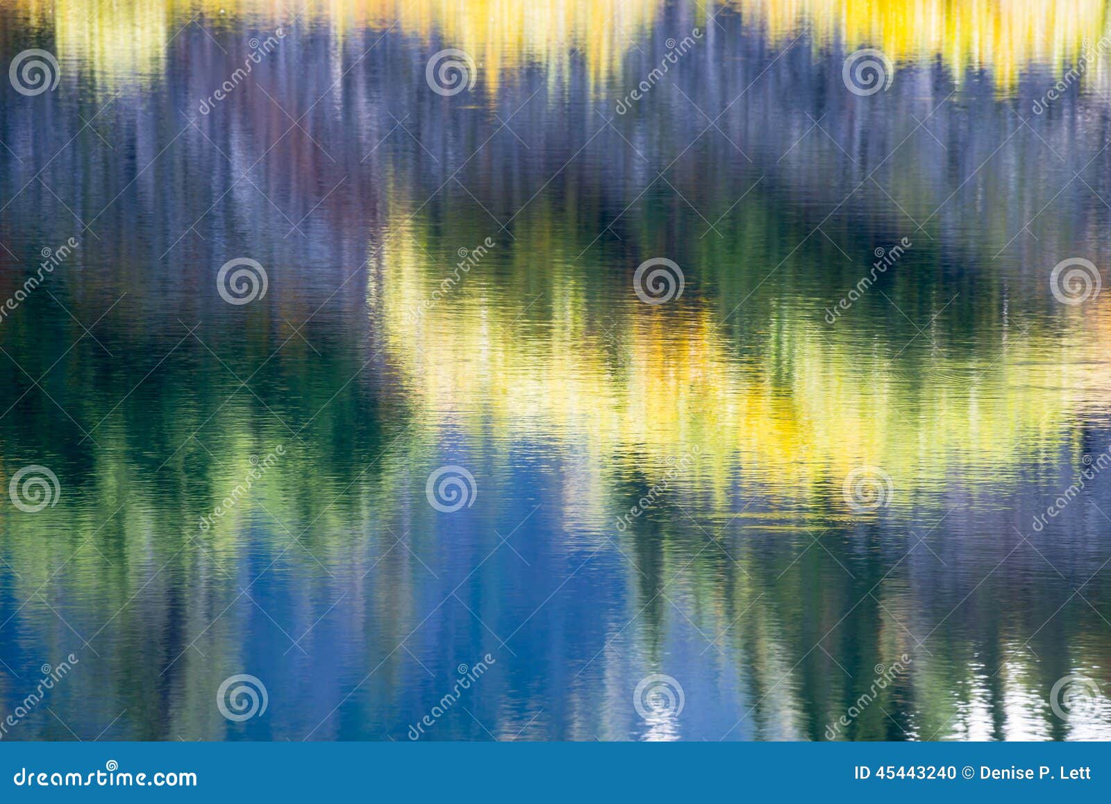 Abstract Blur Reflections Forest in Lake Water Stock Photo - Image of ...