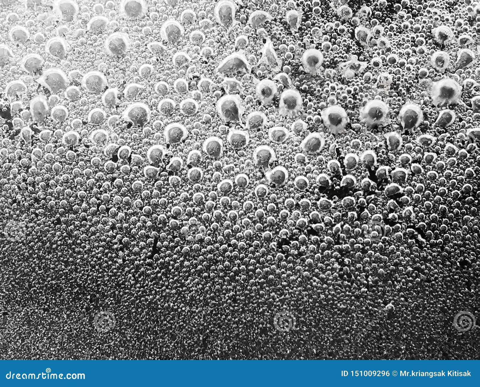 Abstract Blur .steam Bubbles at the Bottom Surface Stock Photo - Image ...