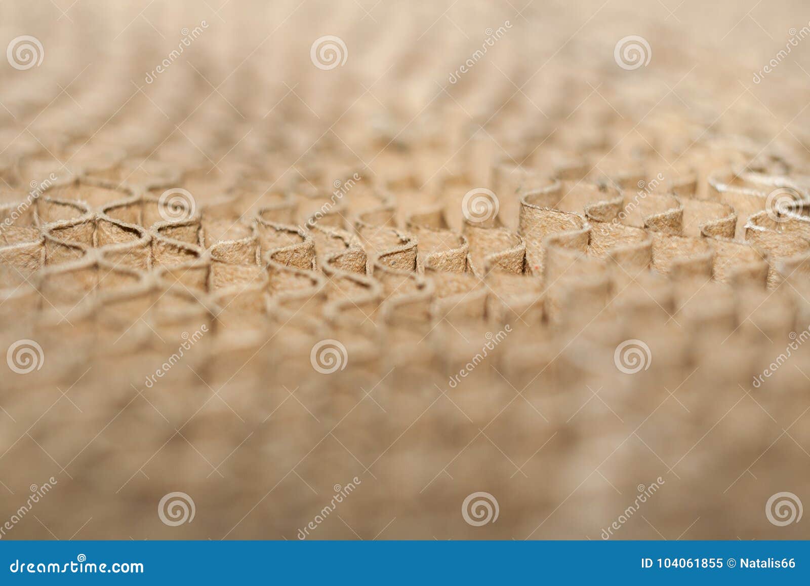 Abstract Blurred Background with Selective Focus. Wavy Edges of ...