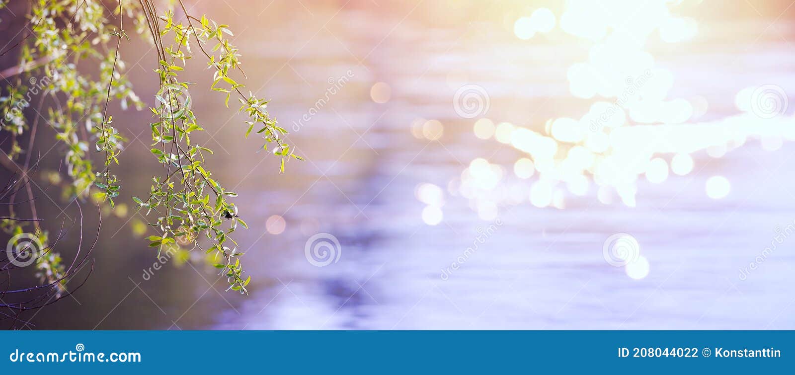 Abstract Blurred Beautiful Spring Background with Fresh Leaves in Tree ...