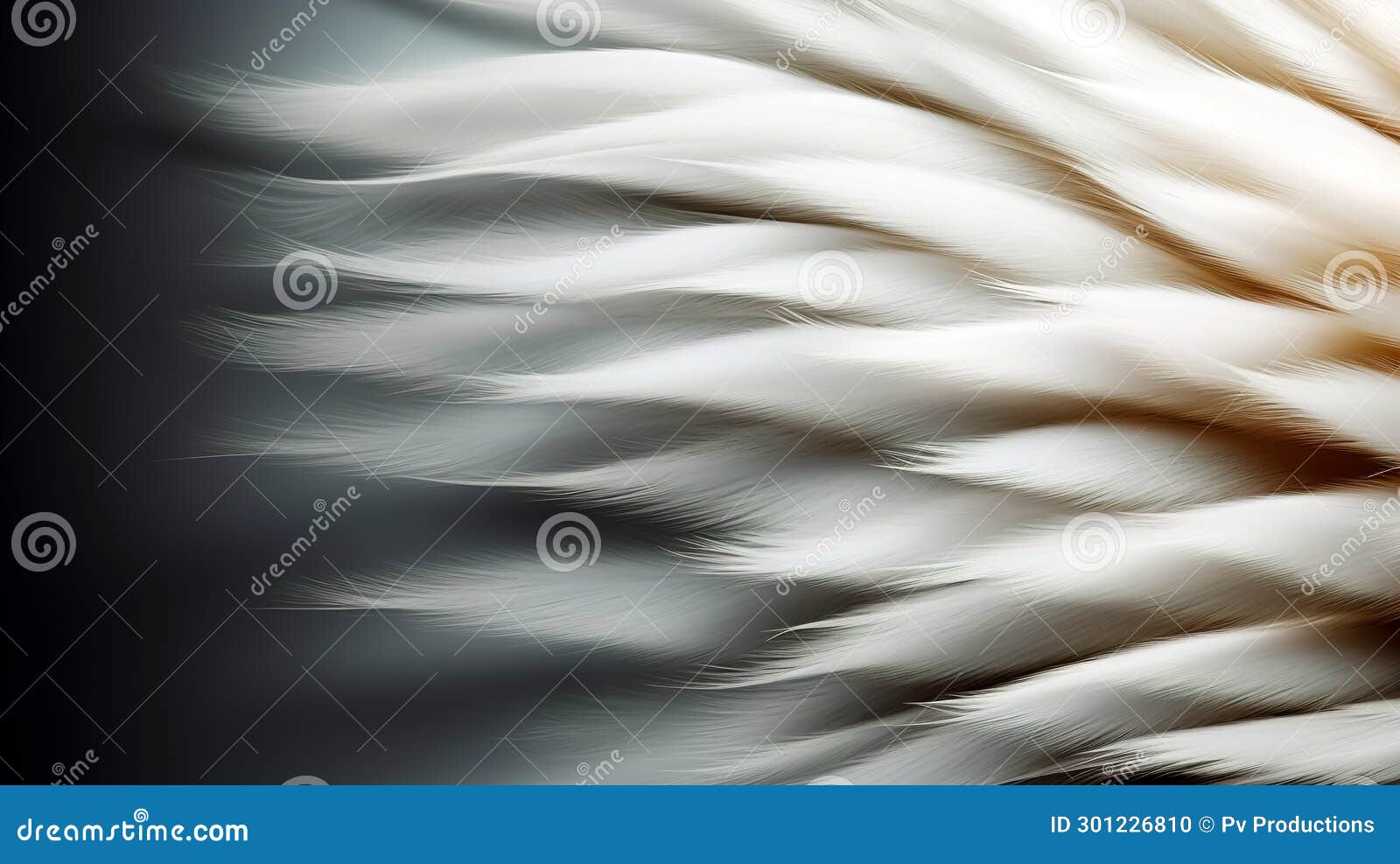 Abstract Blurred Gradient Background with Wild Bird Feathers. Stock ...