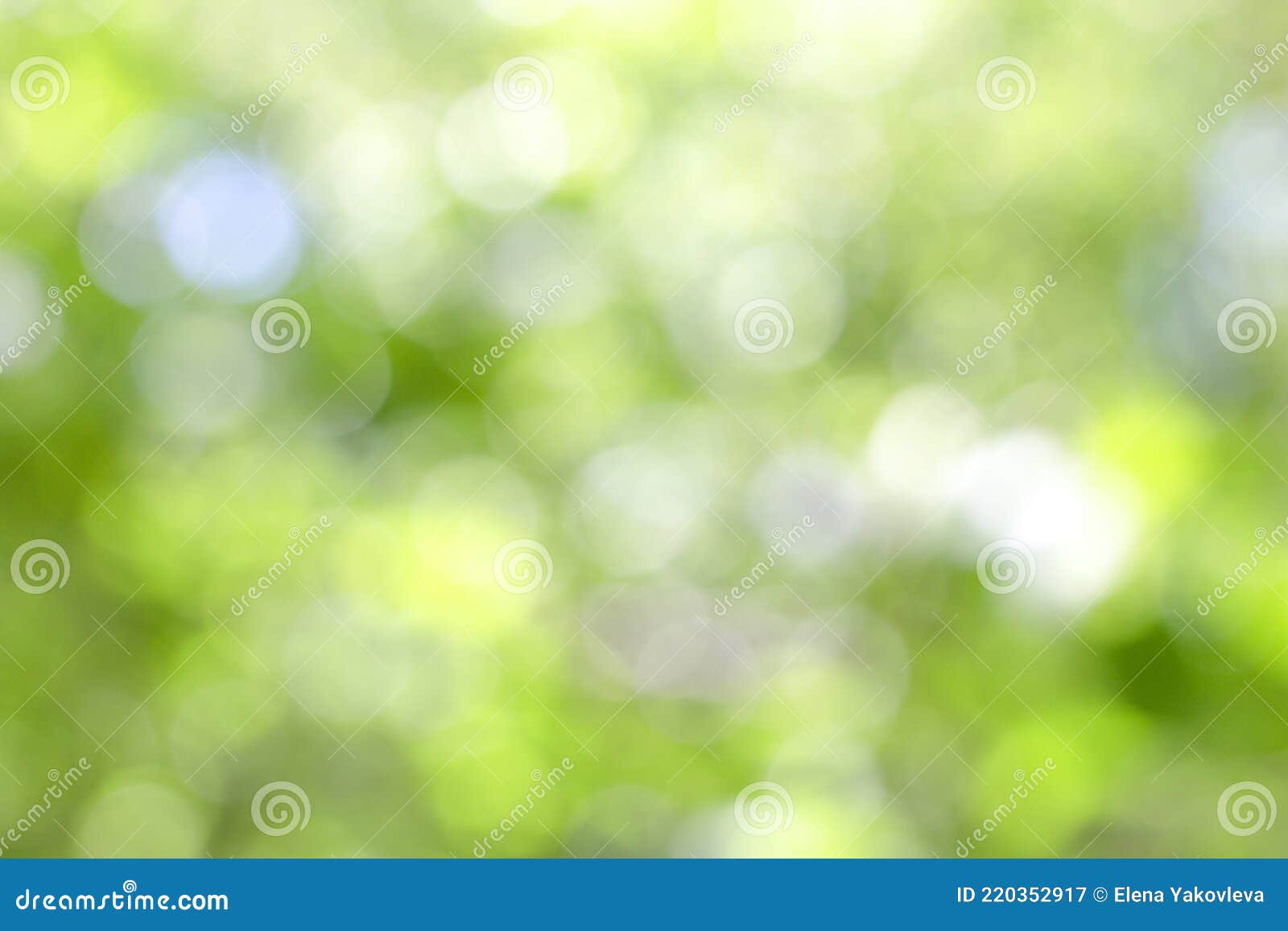 Abstract Blurred Green Background. Stock Image - Image of nature ...