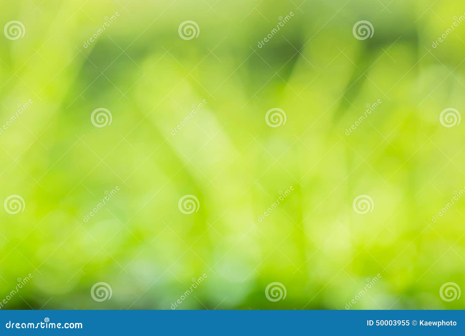 Abstract Blurred Green Background Stock Image - Image of natural, color ...