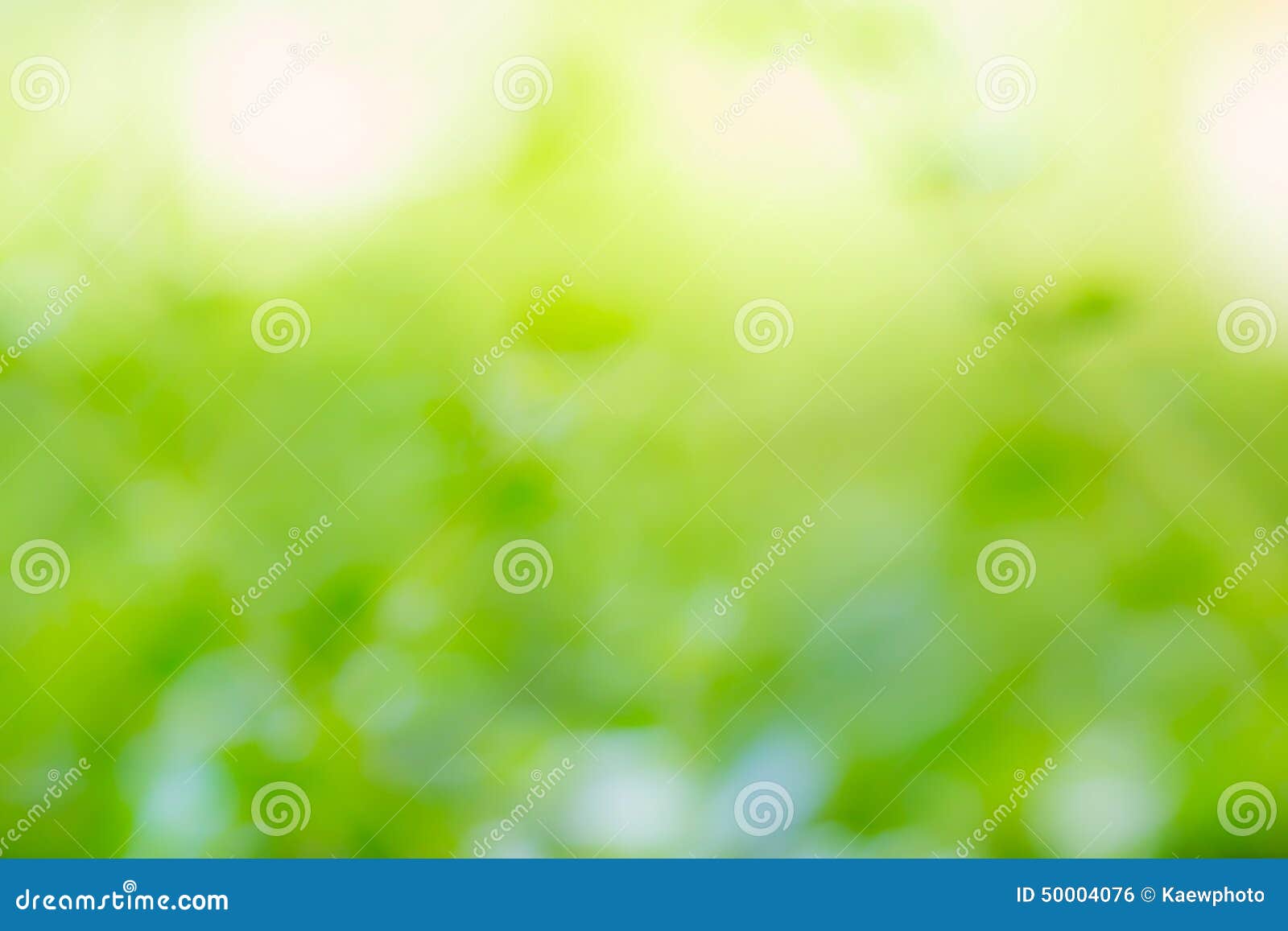 Abstract Blurred Green Background Stock Photo - Image of circle, focus ...