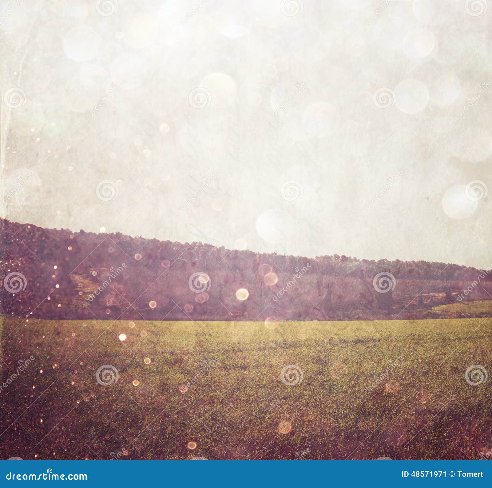 Abstract Blurred Photo of Open Field View with Texture and Glitter ...
