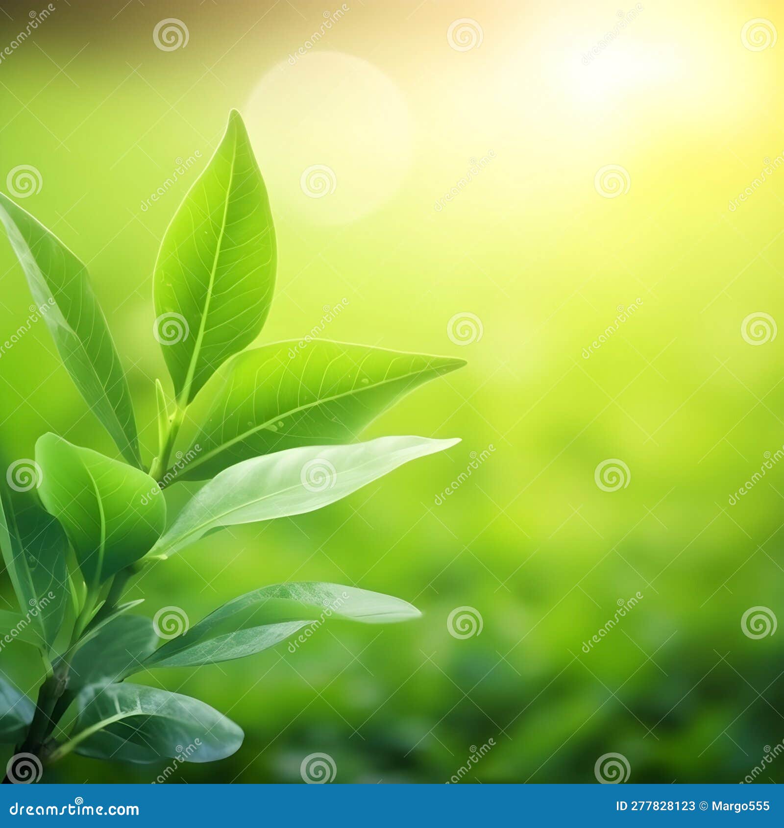 Abstract Blurred Plant Green Tea Stock Illustration - Illustration of ...