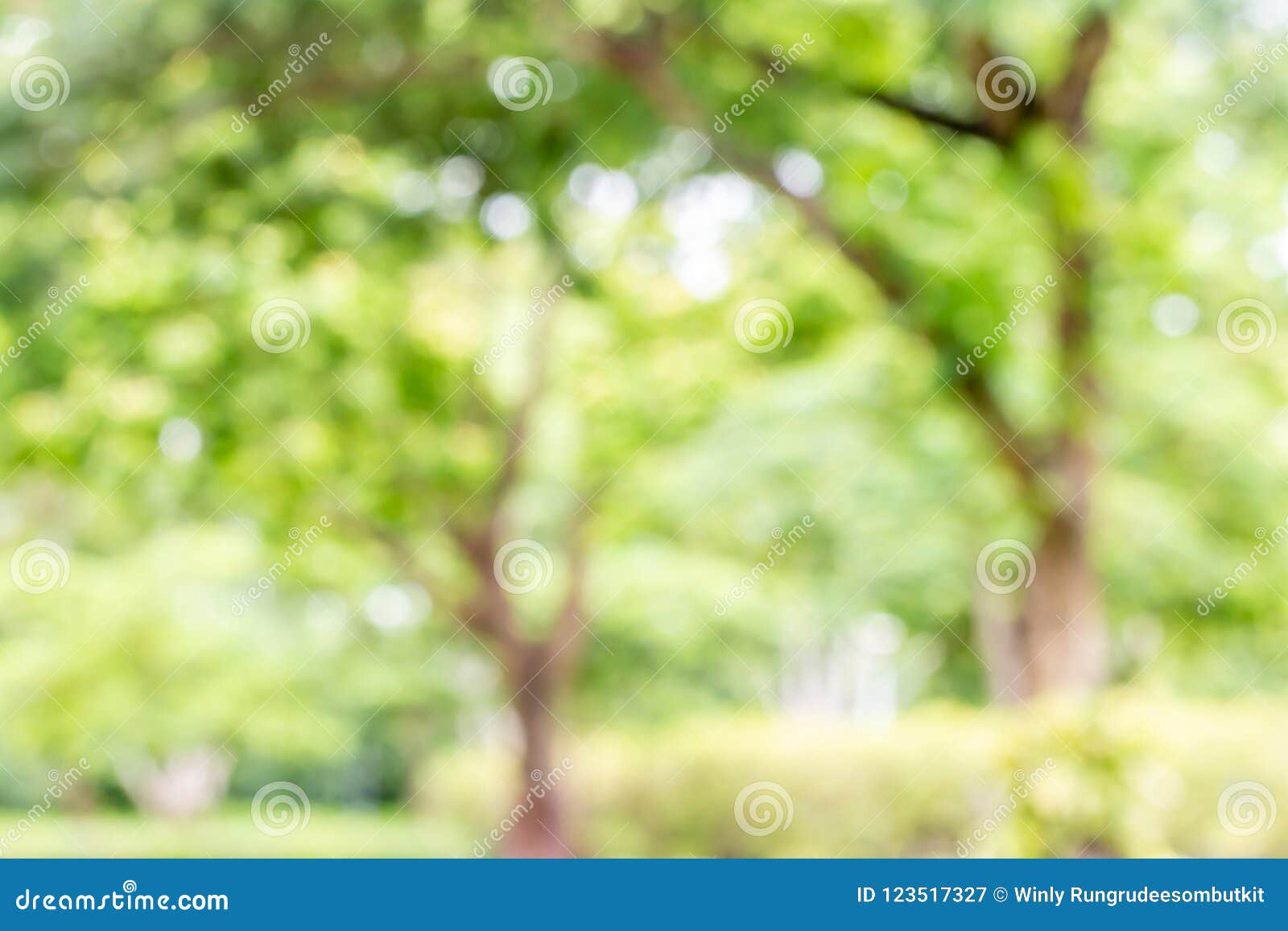Abstract Blurred of the Tree. Stock Image - Image of natural, garden ...