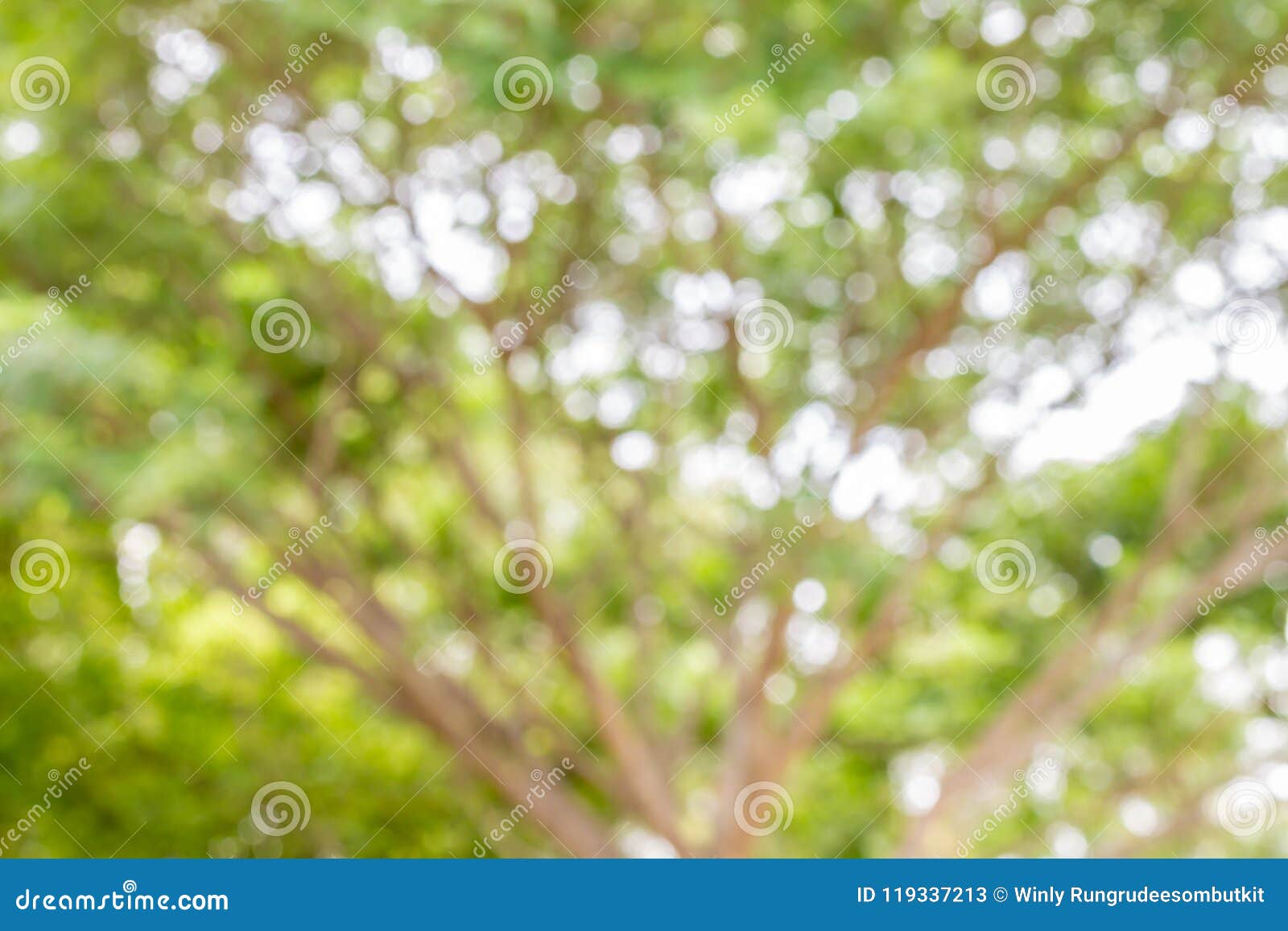 Abstract Blurred of the Tree. Stock Image - Image of effect, light ...