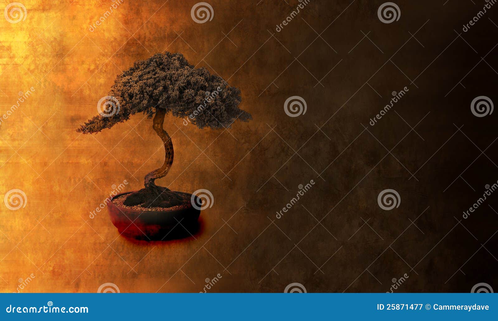 Abstract Bonsai Wisdom Background Stock Illustration - Illustration of ...