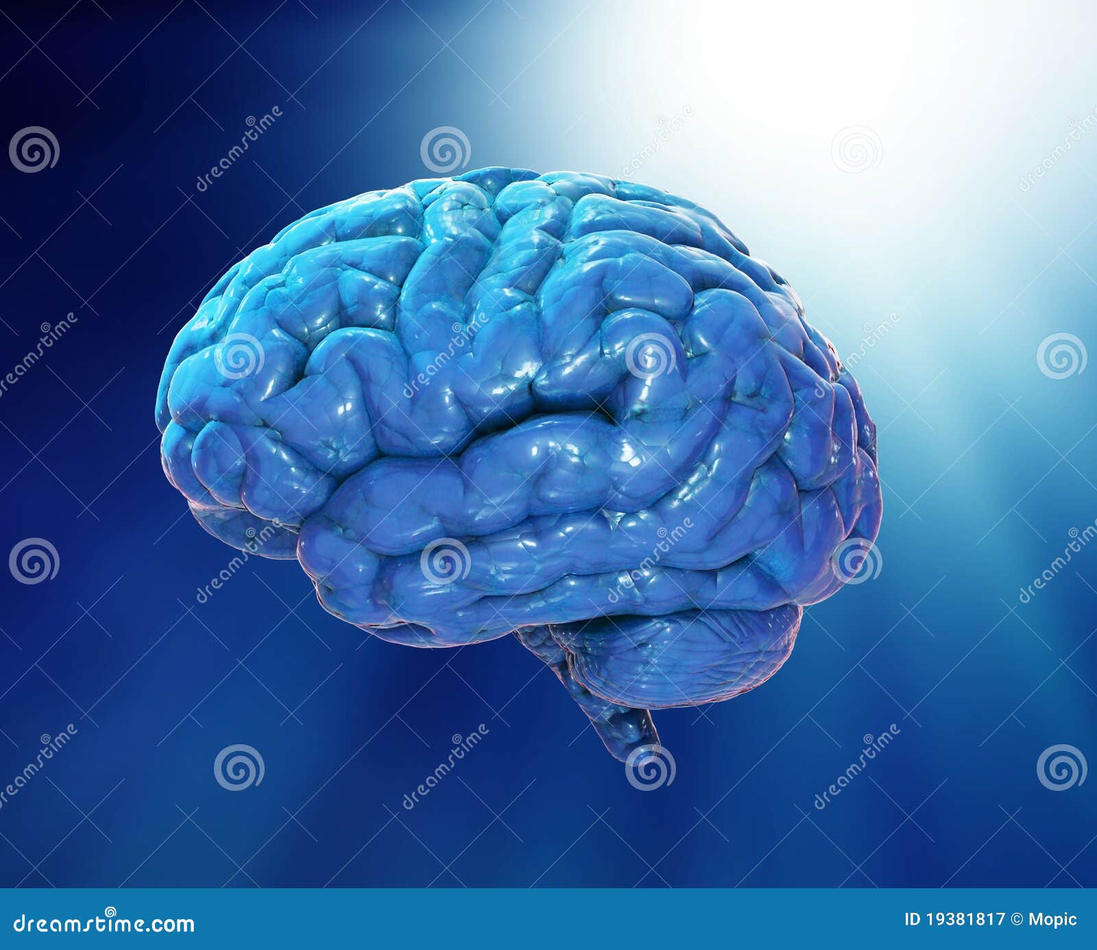 Abstract Brain Illustration Stock Illustration - Illustration of ...