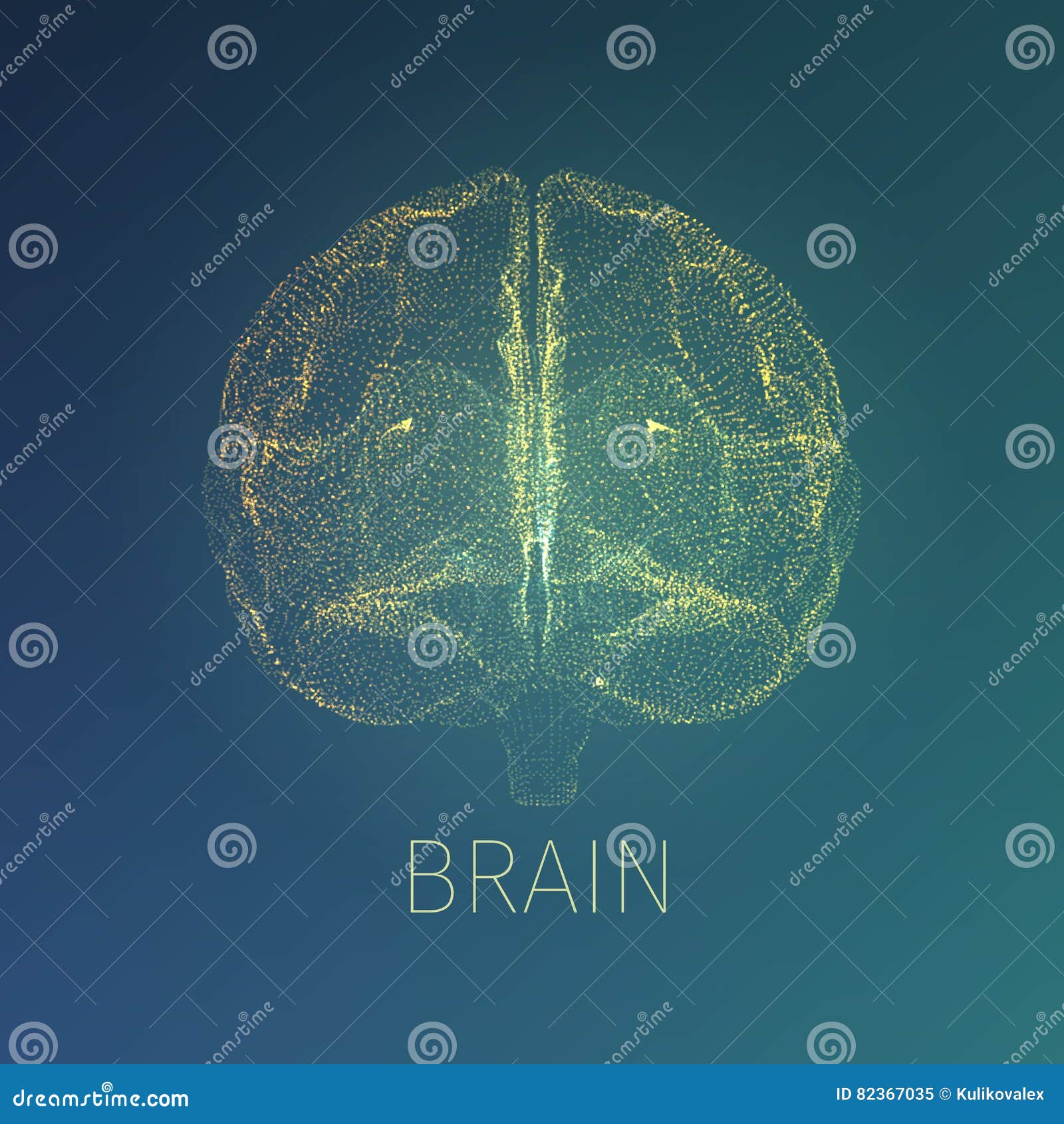 Abstract Brain Vector Illustration. Xray View Inside Head Stock Vector ...
