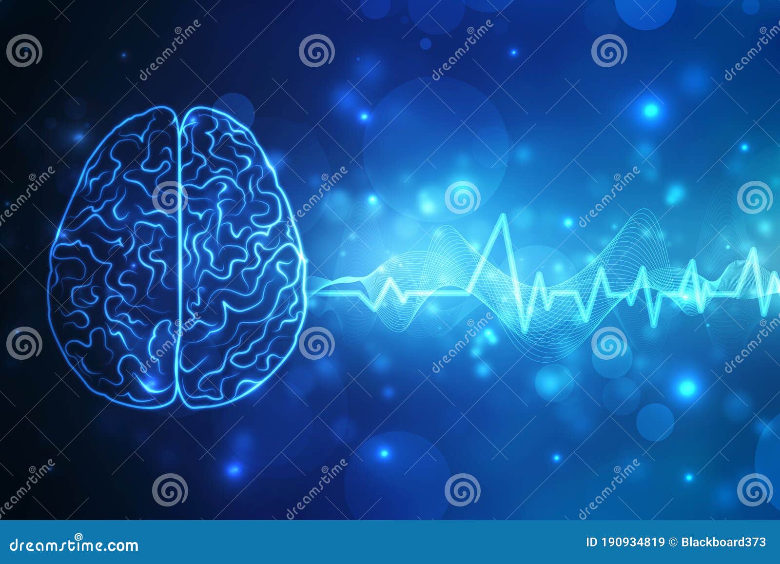 Digital Illustration of Human Brain Structure, Creative Brain Concept ...