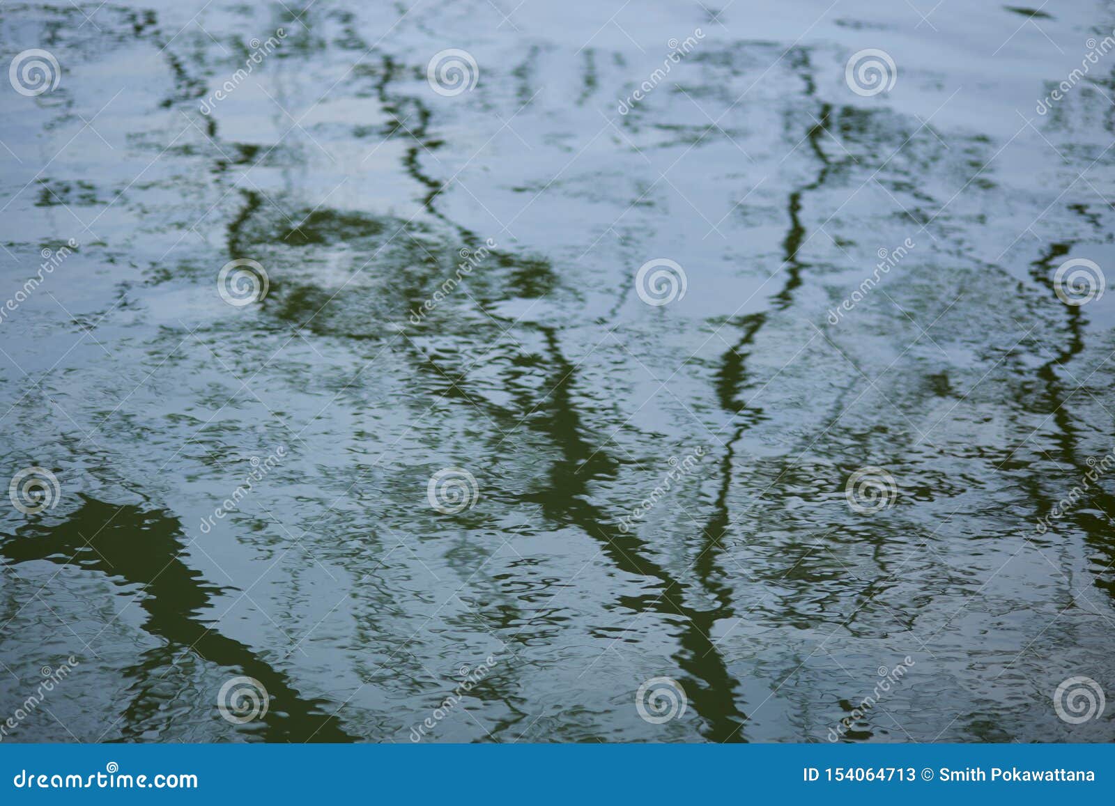 Abstract Trees Reflection On Rippled Water Surface Stock Image Image Of Blue Blur 154064713