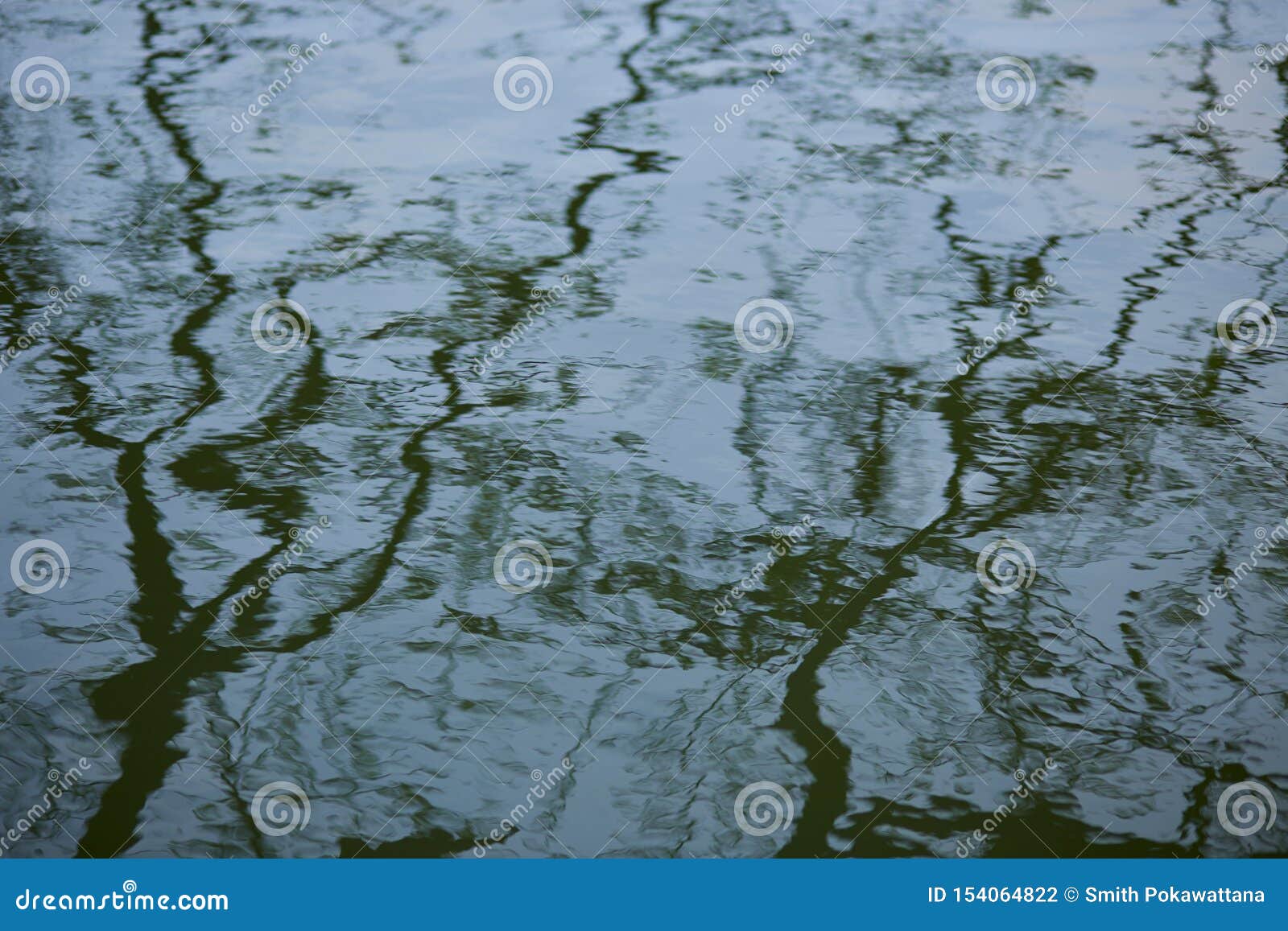 Abstract Trees Reflection on Rippled Water Surface Stock Photo - Image ...