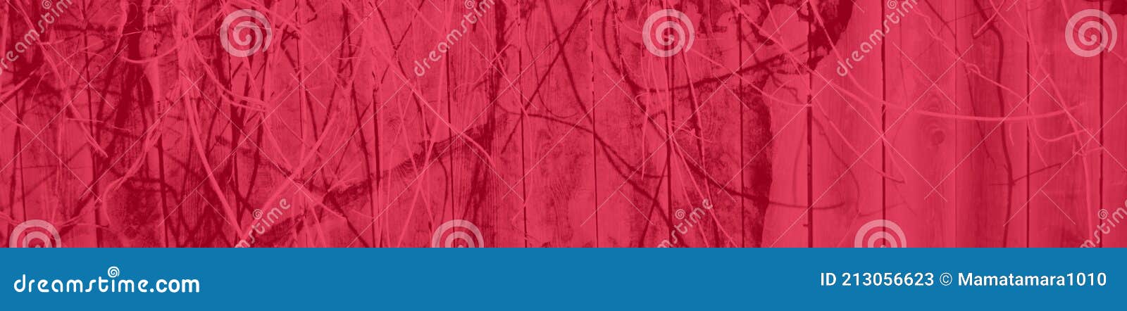 Abstract Bright Pink and Red Colors Background for Design Stock Image ...