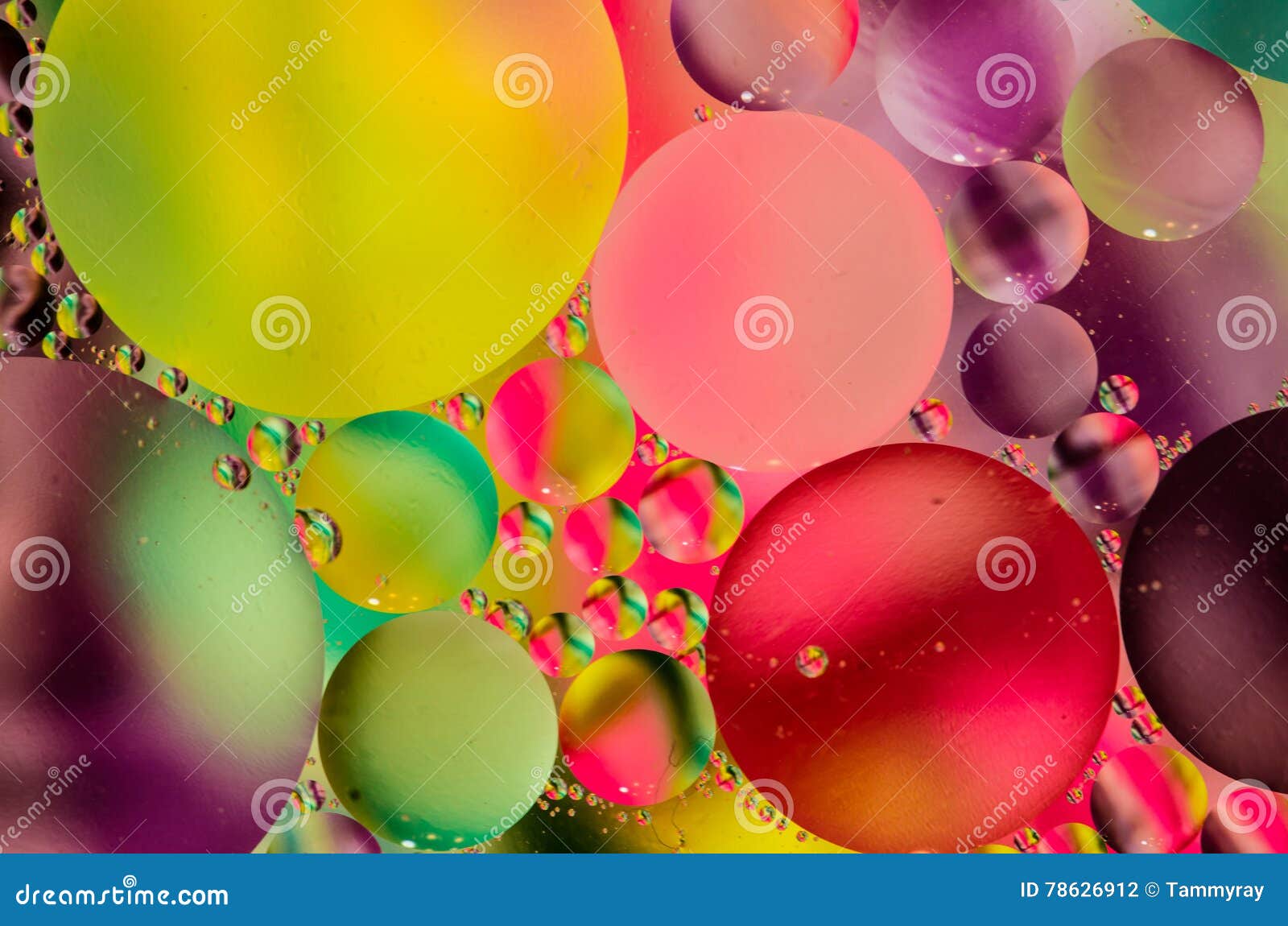 Abstract Bubbles Floating and Colorful Stock Photo - Image of screen ...