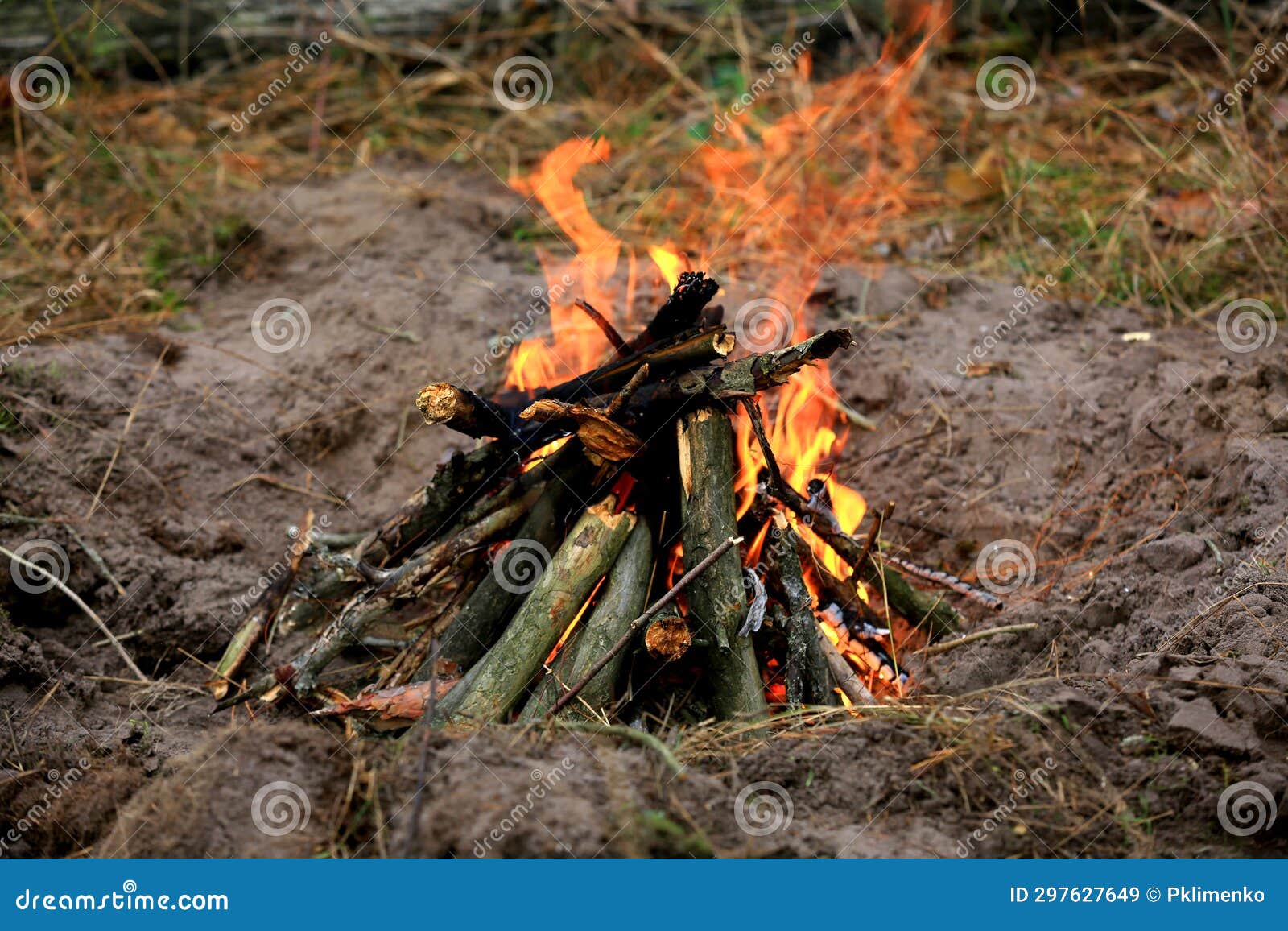 Burning wood in campfire stock image. Image of camp - 297627649