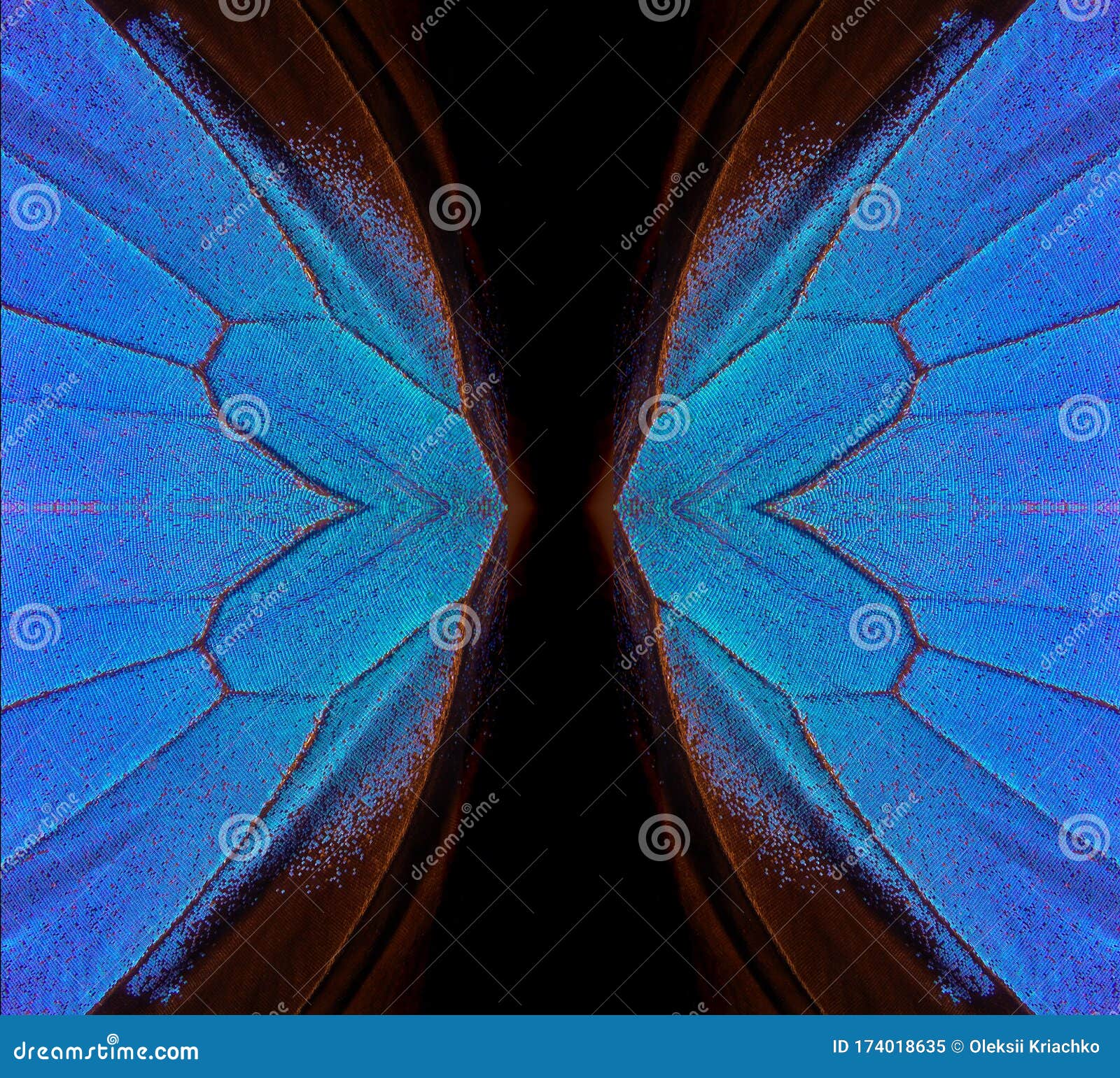 Abstract Butterfly Wings Pattern. Blue Wing Of A Tropical Butterfly On ...