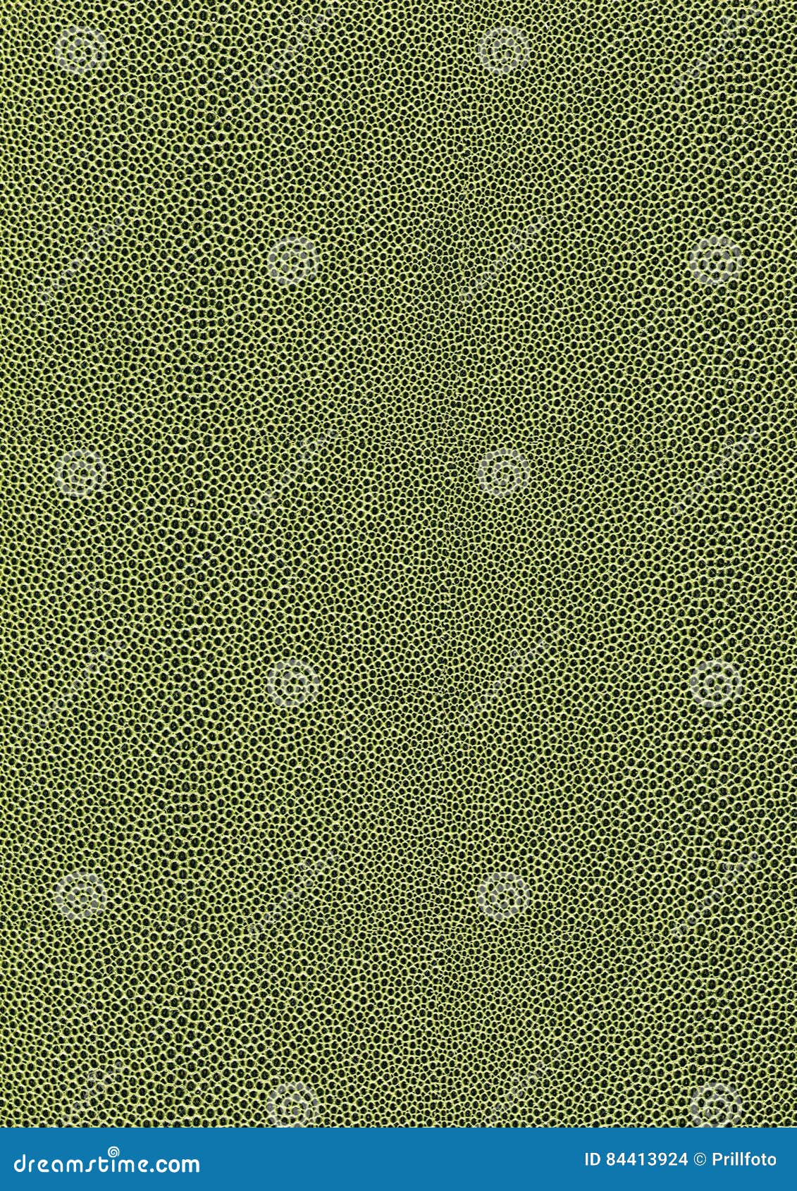 Abstract Cellular Background Stock Photo - Image of latticed, detail ...