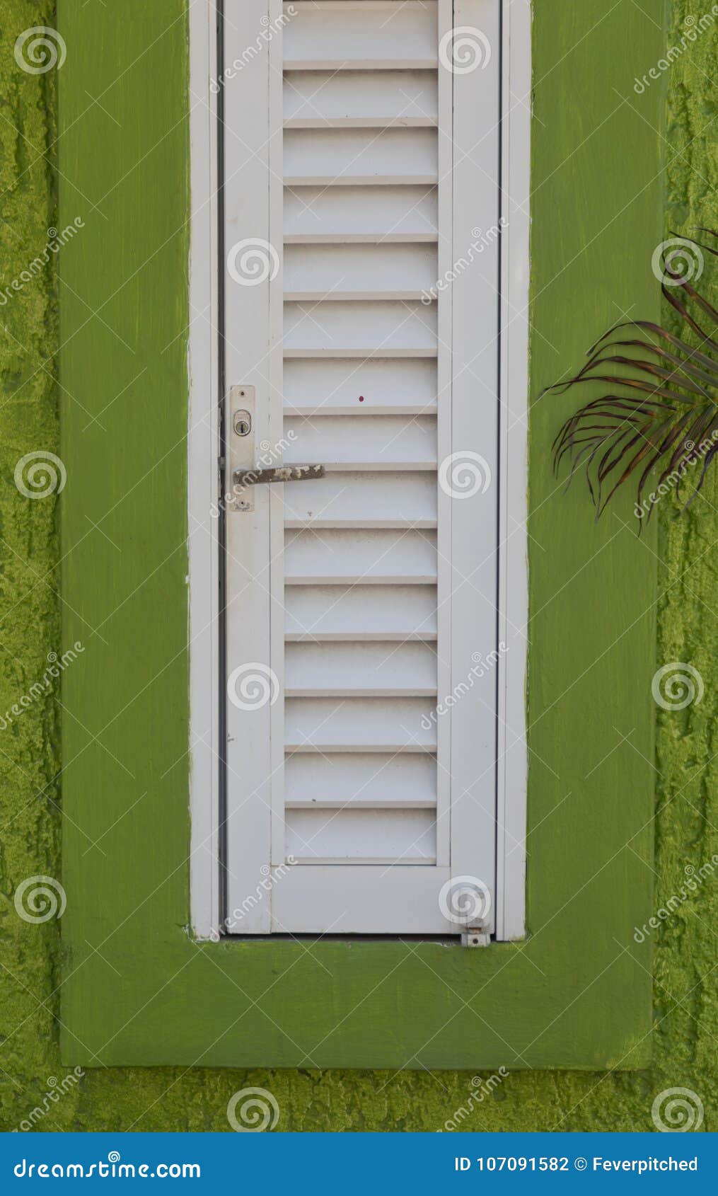Abstract Green and White Window Pane and Shutter Stock Photo - Image of ...
